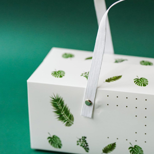 Packaging - Hercules Online Store - Go Create, Go Innovate